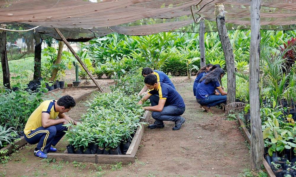 CAMPO: Ministério da Educação libera R$ 60 milhões para internet nas ...