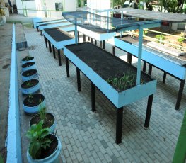 CASA DO ANCIÃO: Horta orgânica garante alimentação saudável aos ...