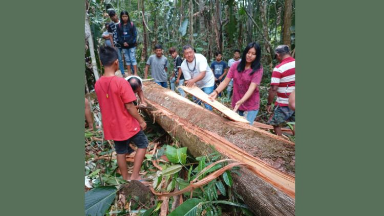 PREMIADO: Documentário rondoniense sobre o povo 'Cinta Larga' será ...