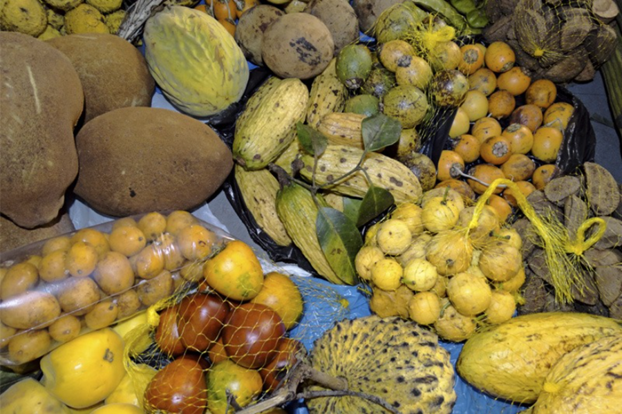 NATURAL: Embrapa desenvolve produto para sucos de frutas amazônicas ...