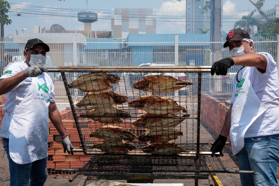 AMAZÔNIA: Região do Café recebe III Festival Internacional do Tambaqui ...