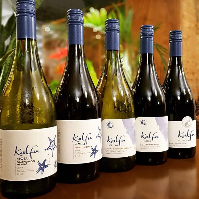 NOVIDADE: Kalfu: vinhos inspirado em indígenas chegam ao Brasil ...