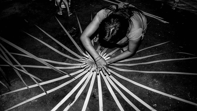 APÓS 15 ANOS: Programas REED+ sofrem esvaziamento e buscam recomeço ...