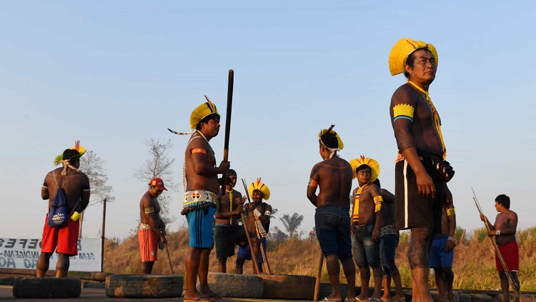EXPOSIÇÃO: Quem é o artista indígena que levou a cosmologia e a luta ...